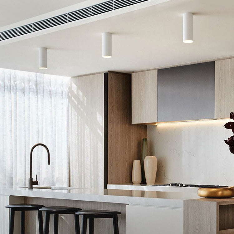Zenith Cone Ceiling Light – Urbanesta.Co